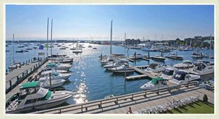 Jachthaven Ponda Rosa - Rotterdam | Jachthaven.nl